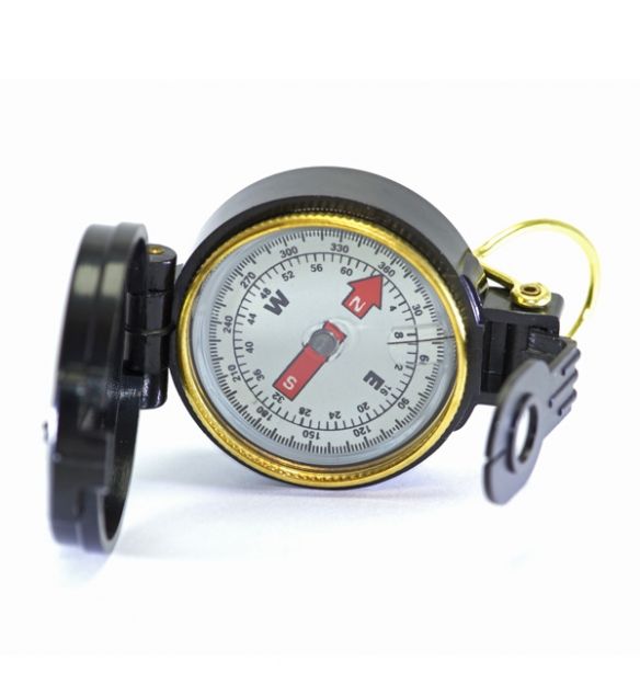 Compass handheld