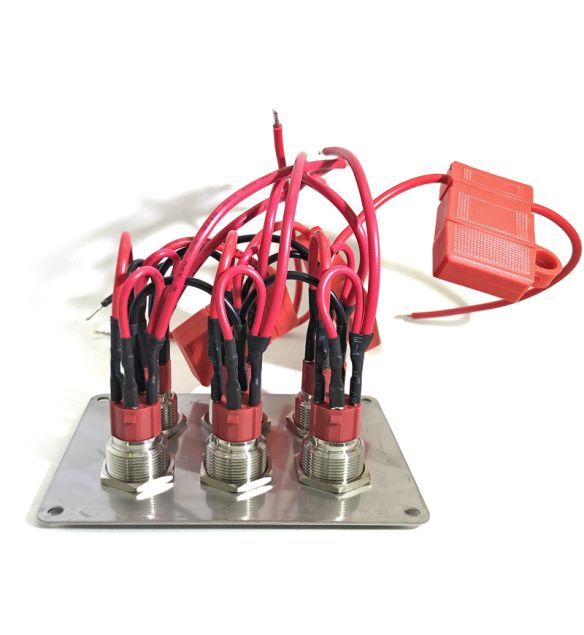 Guardian Switch Panel SS Flush 6-P